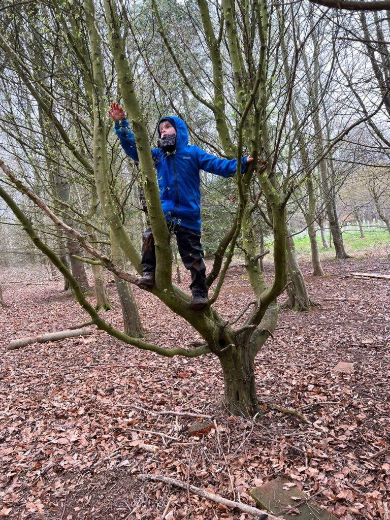 Muddy Explorers Holiday Camp 28th May Heath Farm - Muddy Feet Forest School